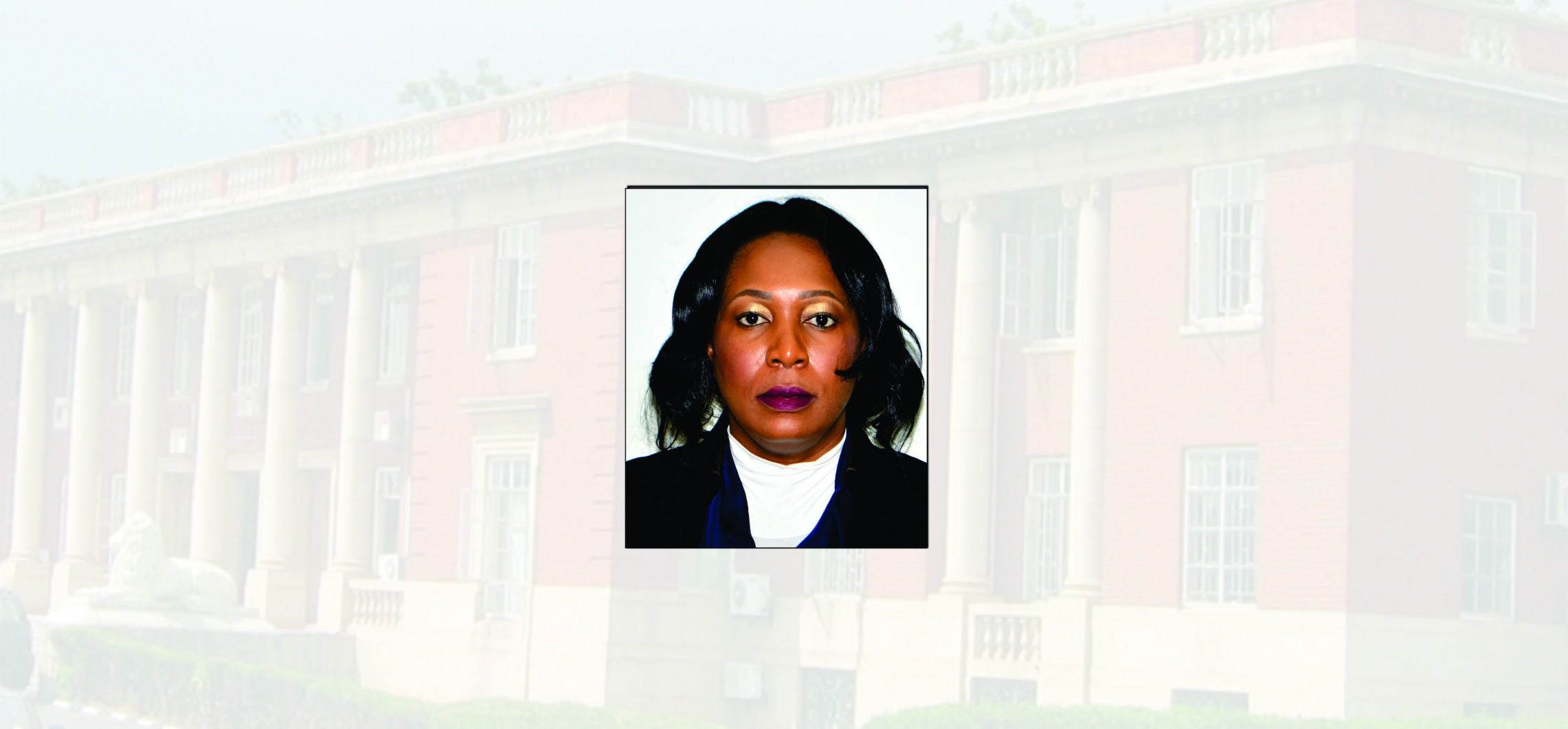 Hon. Mrs. Justice Flavia Malata Chishimba - Judiciary of Zambia